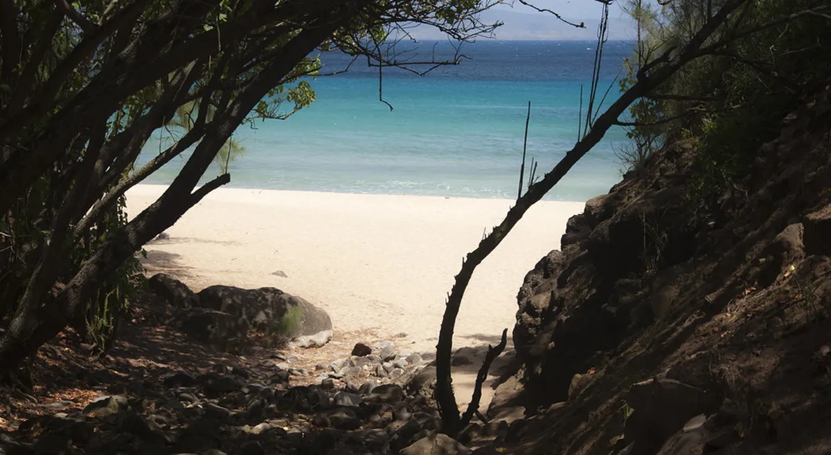 10 Best West Maui Snorkeling Tours from Lahaina Harbor