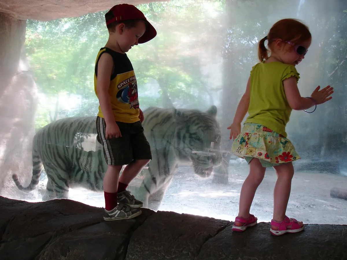 Dallas Zoo And Aquarium Travel Guide