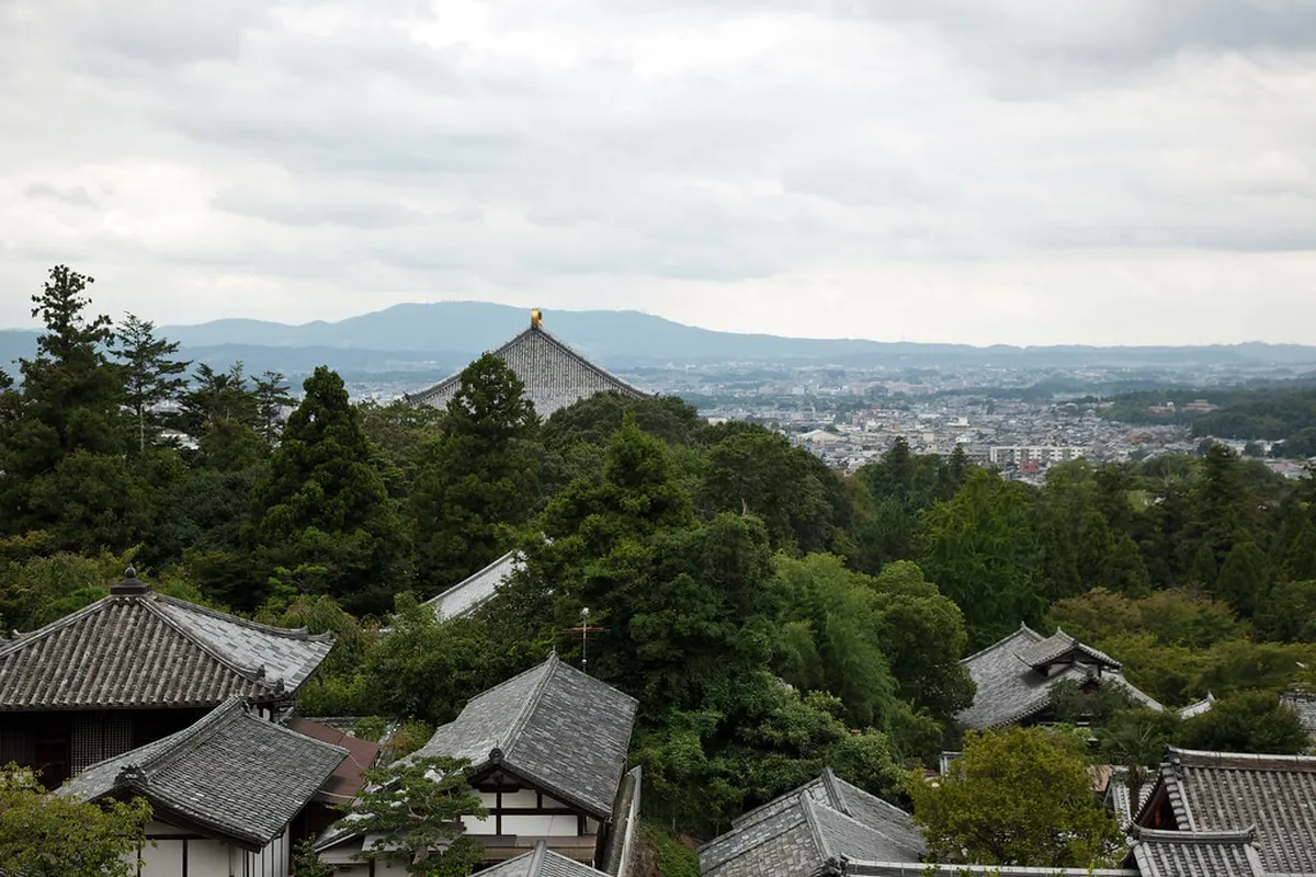 Nara to Kyoto Train Guide 2026: 10 Essential Planning Tips