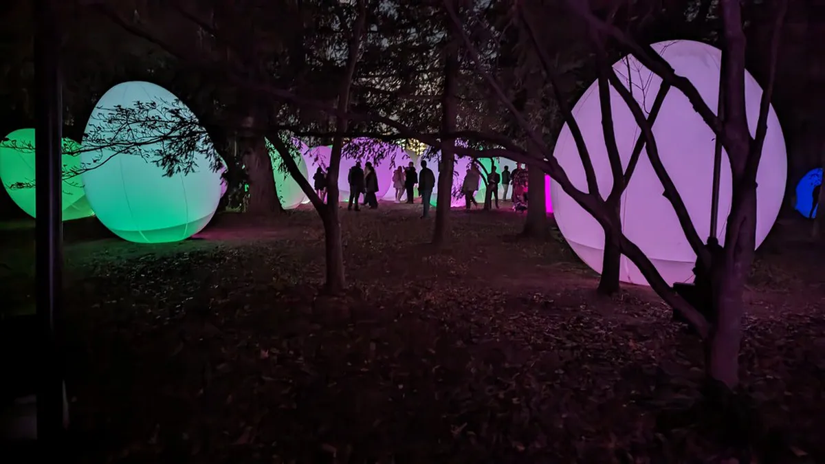 10 Best TeamLab Botanical Garden Highlights in Osaka