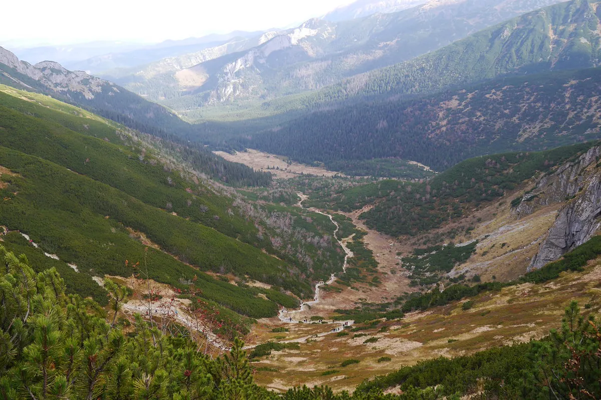 Zakopane Hiking Trails Tatra Mountains: Complete Guide 2026